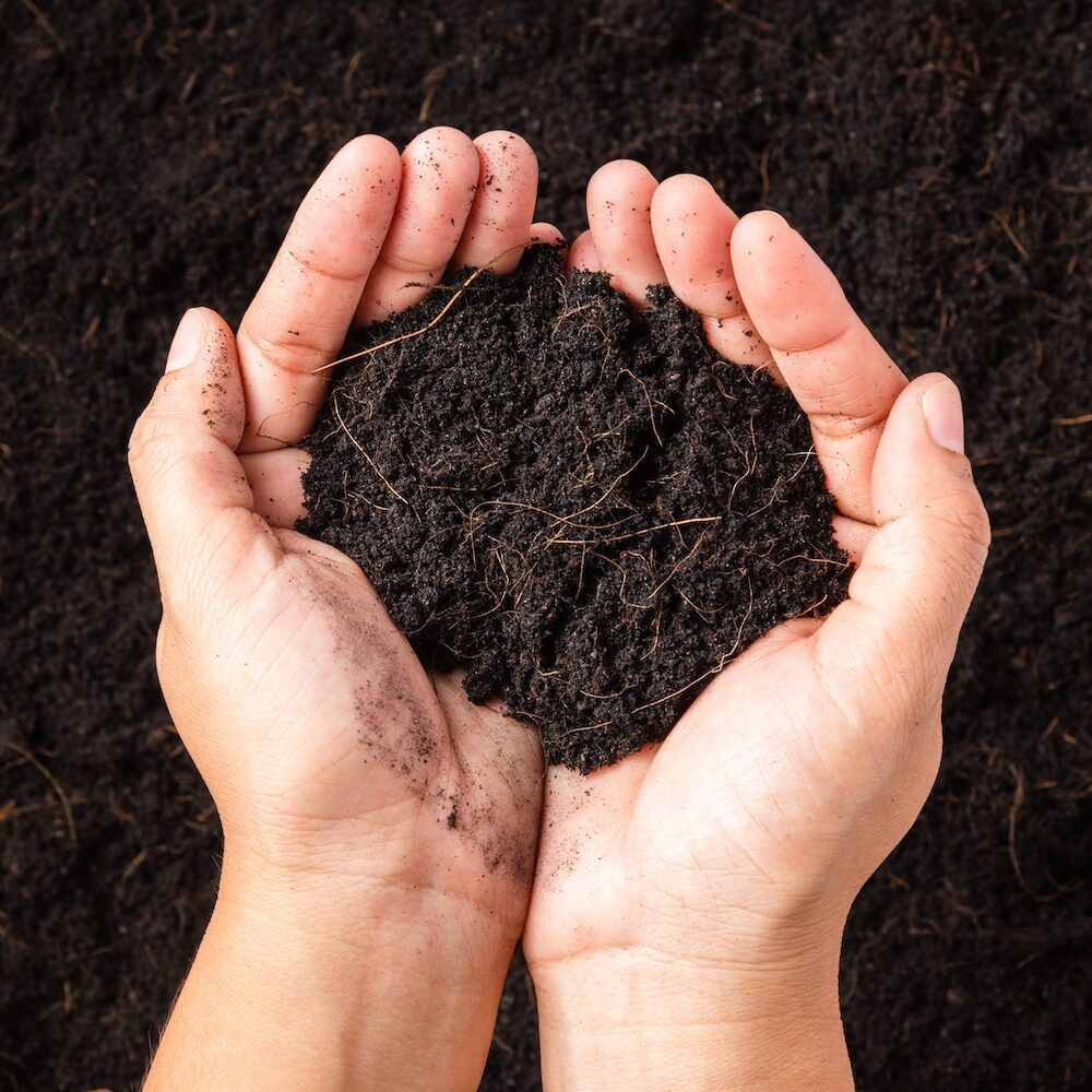Land Rehabilitation - WorldSolutions